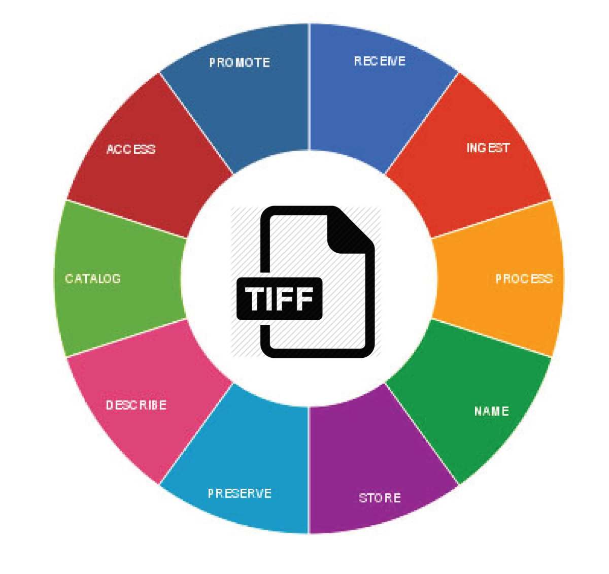 Event Wrap Up: TIFFs, JPEGs, and GIFs, Oh my! Working with Digital ...